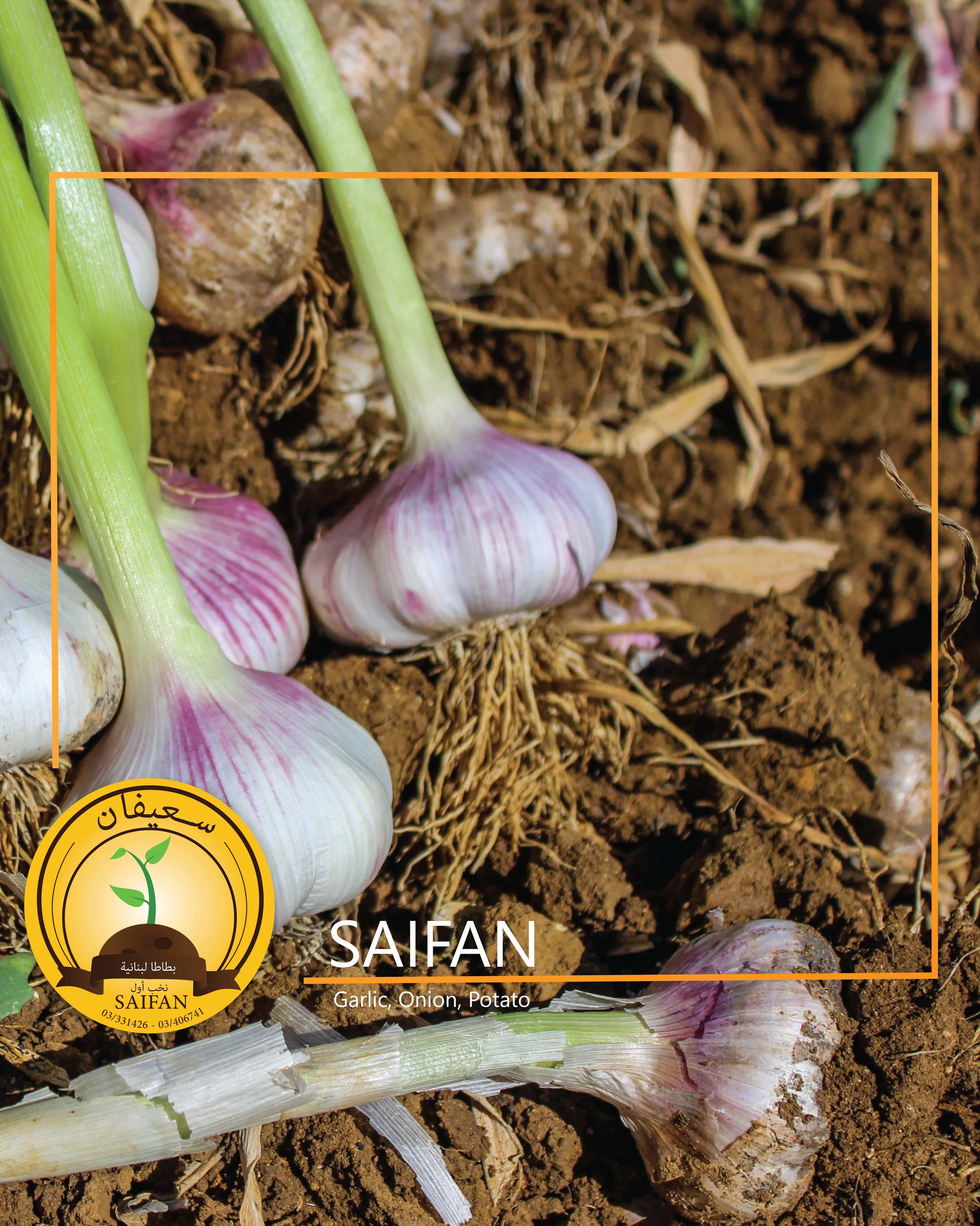 Saifan
